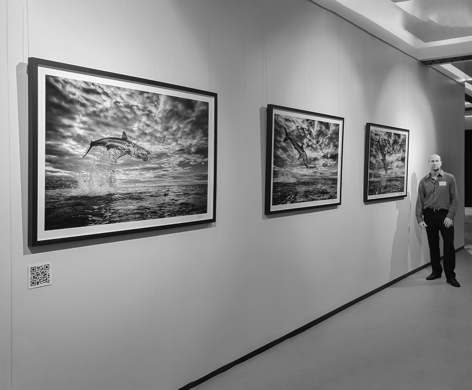 About the Artist | Read His Story Here | Chris Fallows