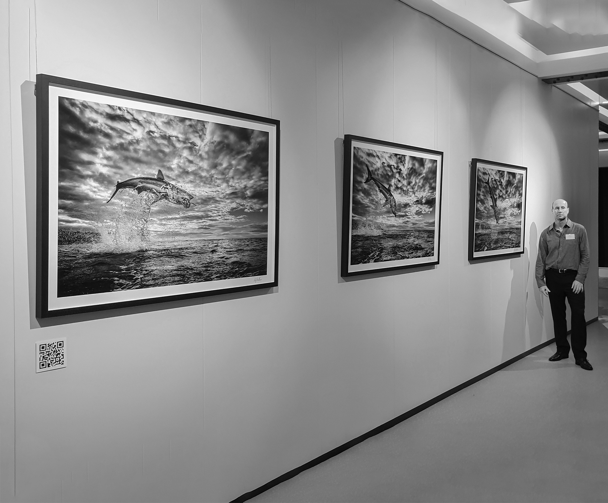 About the Artist | Read His Story Here | Chris Fallows